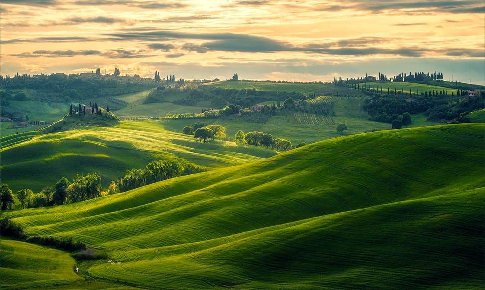 Theme - Batten | Shaw Construction